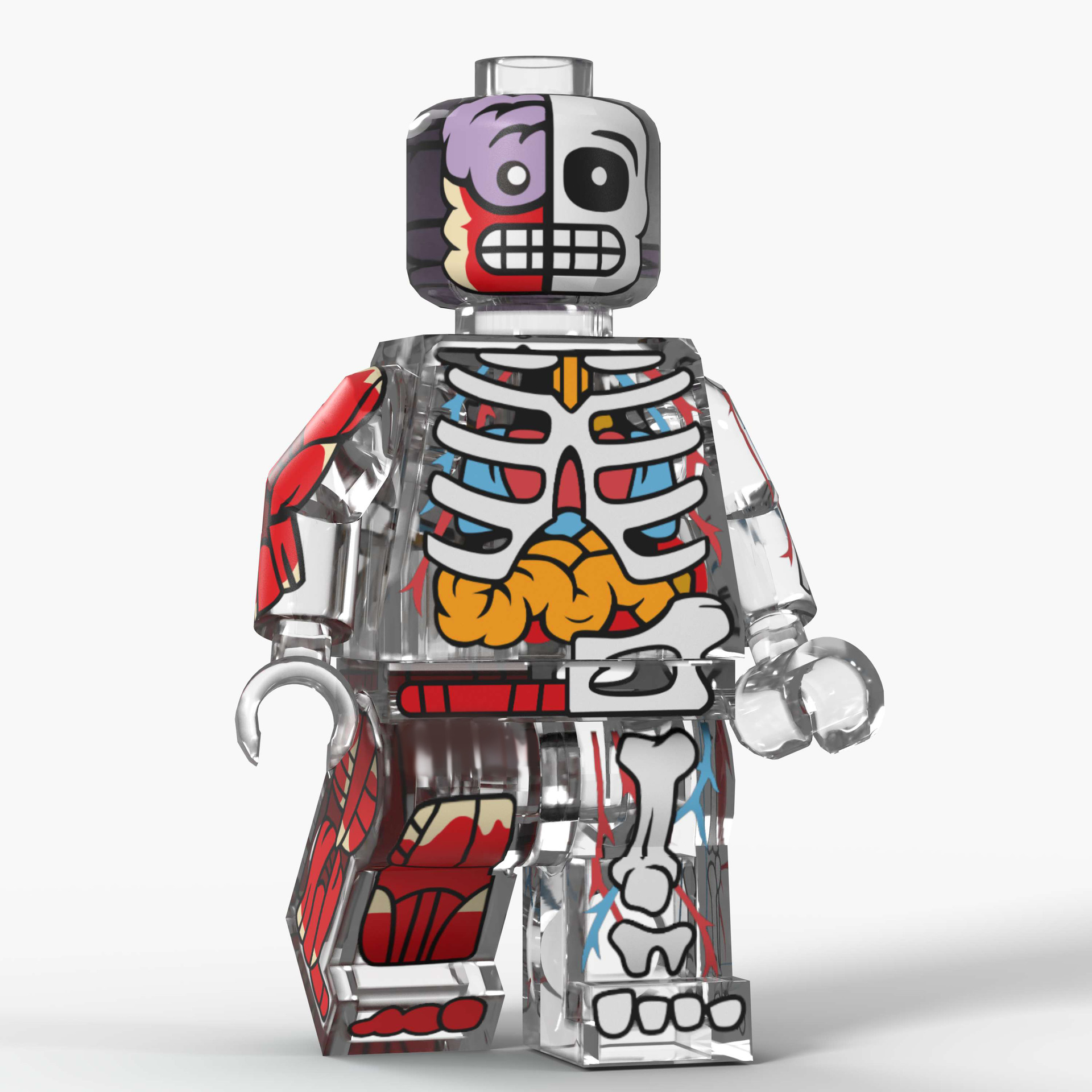 The Visible Man D8005A Minifigures - Brixtoy